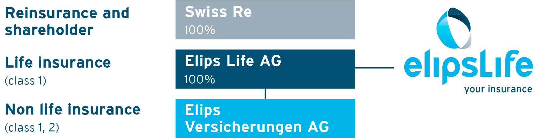 Organisation - elipsLife